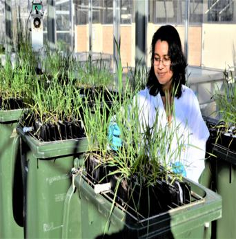 Sher-e-Bangla Agricultural University